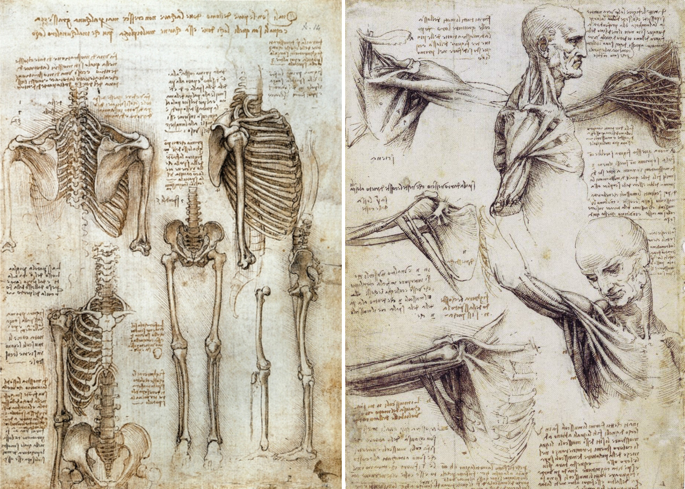 Leonardo da Vinci | Legacy Project Chicago